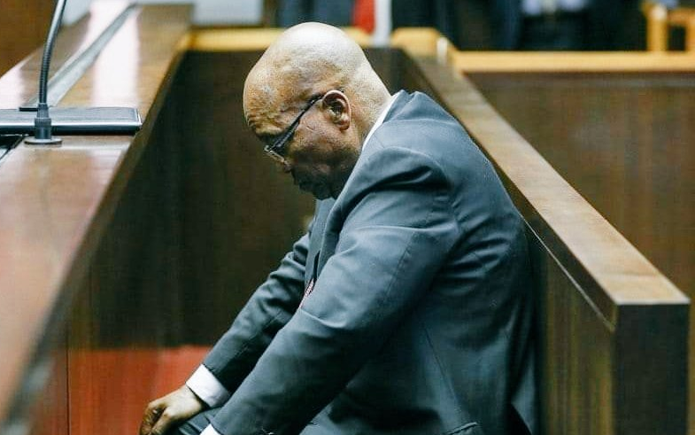 Court ruling on Zuma legal fees a victory for SA and DA