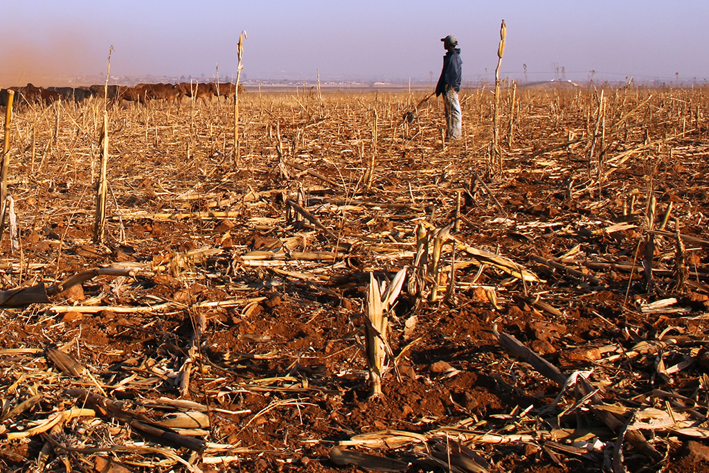 DA welcomes declaration of national drought disaster