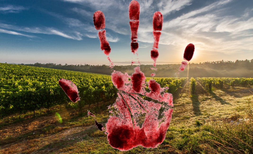 DA condemns shocking farm murder in Piketberg