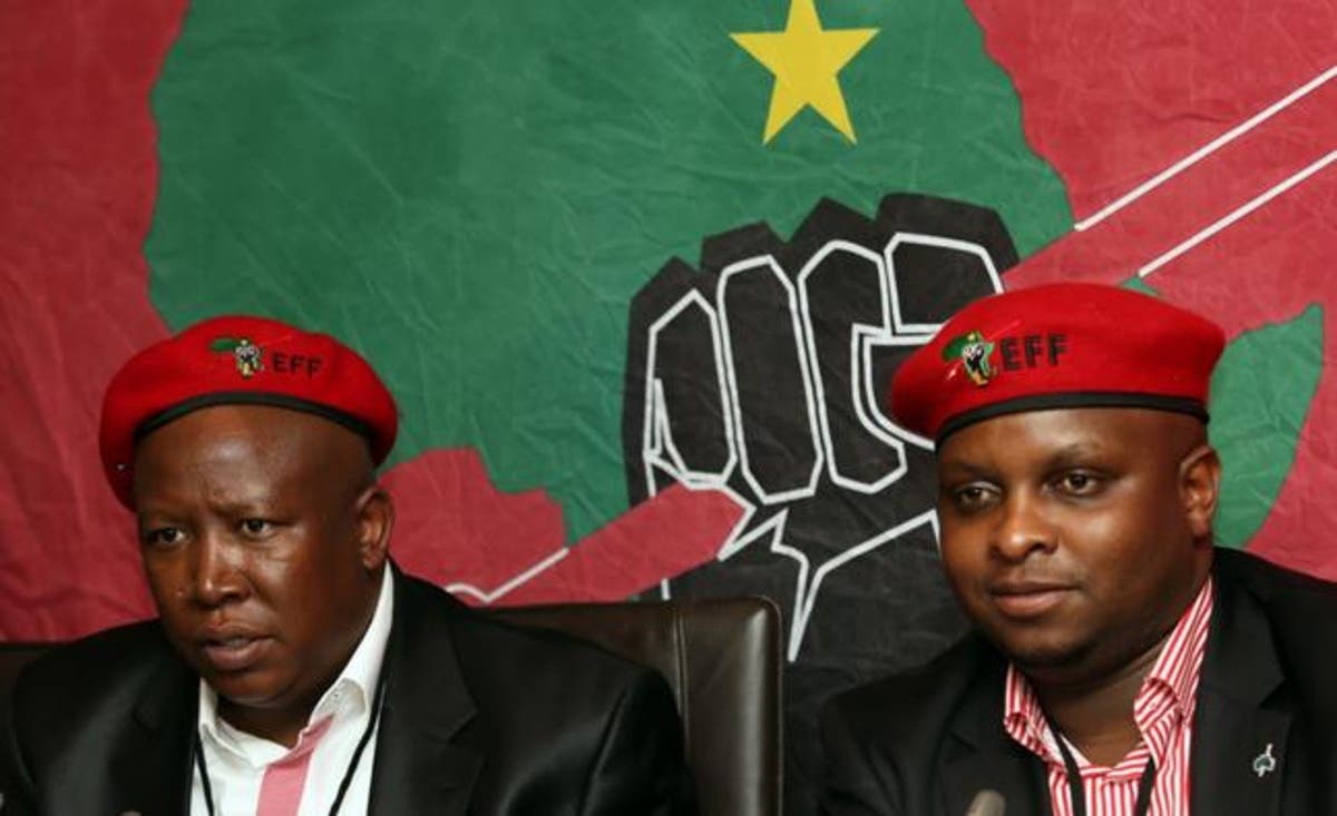 SAPS must speed up investigation into DA’s VBS charges against Malema ...