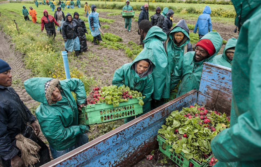 Parliament must step in and act on load shedding in the agriculture sector
