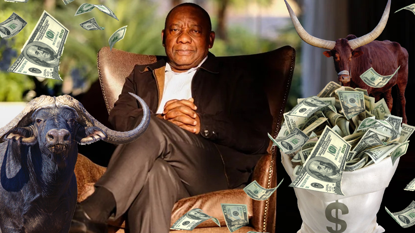 DA submits SARS affidavit to Public Protector to assist in Phala Phala ...