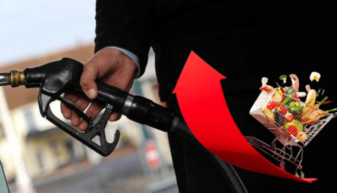 DA submits request for a debate of national importance on high fuel ...