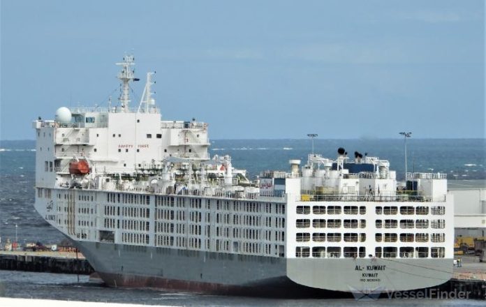DA condemns inhumane conditions on Al Kuwait live export vessel in Cape ...