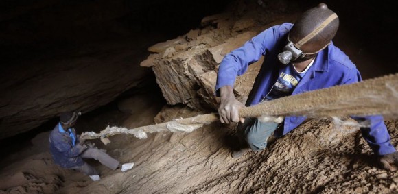 The fight against illegal mining will be futile, without an Anti ...