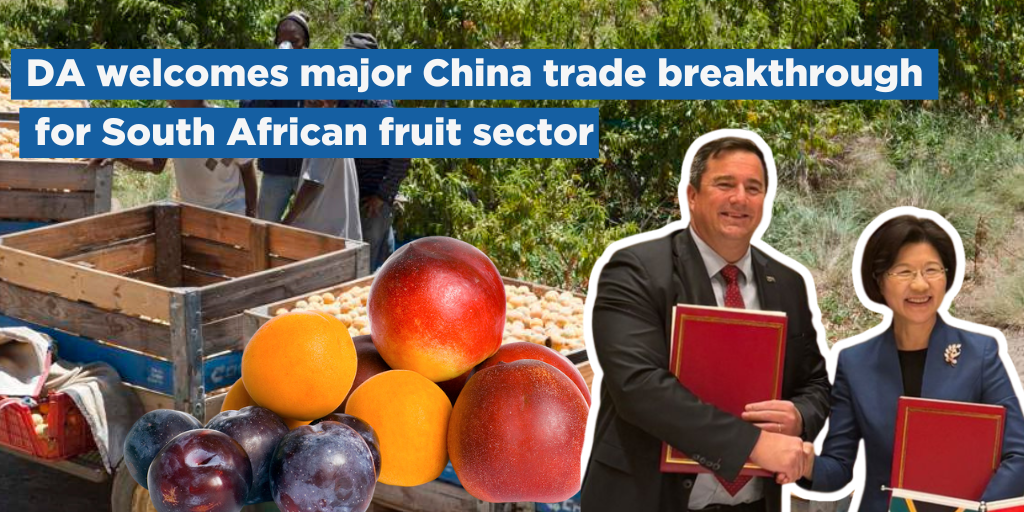 DA welcomes major China trade breakthrough for South African fruit sector