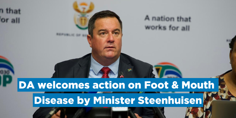 DA welcomes action on Foot & Mouth Disease by Minister Steenhuisen, and ...