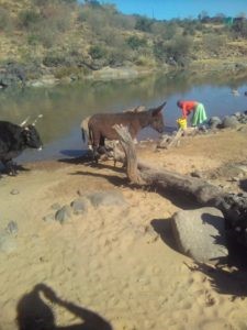 DA gives Alfred Nzo Municipality 7 days to provide water plan for rural ...