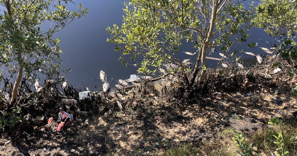 Are Durban beaches really ready, Mr. Mayor? - KwaZulu-Natal