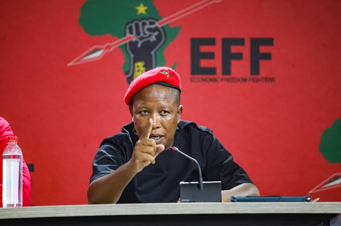 EFF Shutdown: Open Letter to KZN Premier Nomusa Dube-Ncube - KwaZulu-Natal